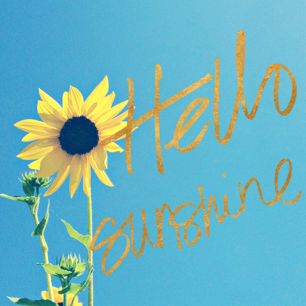 SunDance Graphics | Image Detail - 10715M - Hello Sunshine