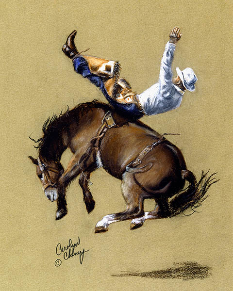 SunDance Graphics | Image Detail - 482SD - Bronco Riding